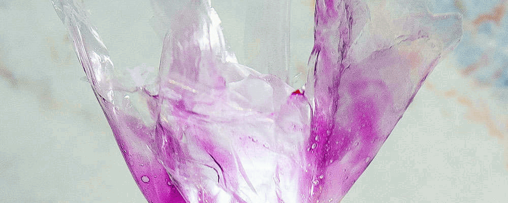 Gelatin sheet | Forked